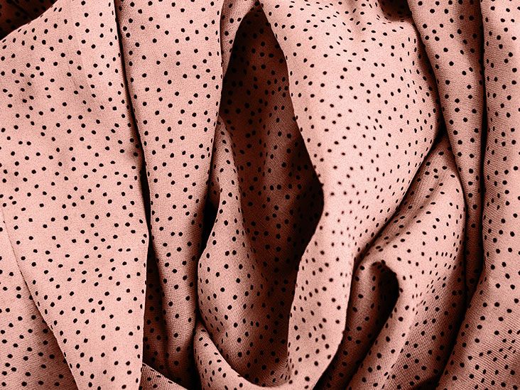 Different types of vagina: Shapes, sizes, colors, and more