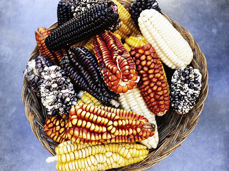 What can cause undigested food to appear in stool?