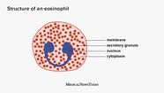 What s Eos In Blood Test Flash Sales Www simpleplanning