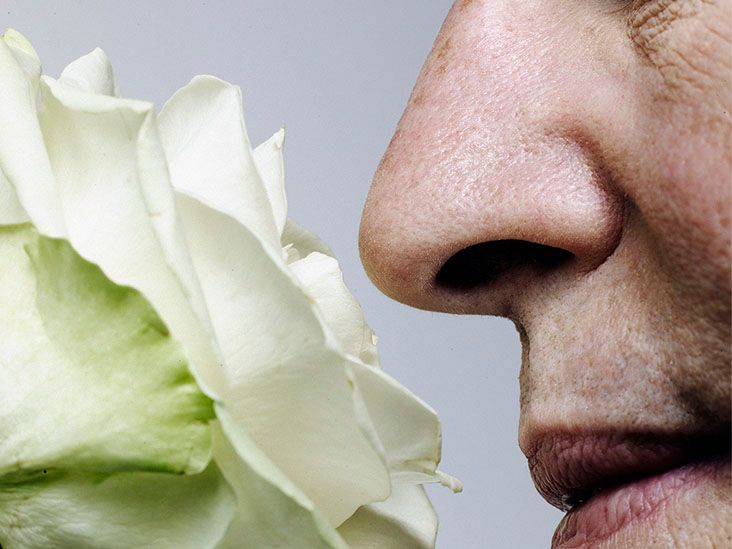 Olfactory groove meningioma: Symptoms, causes, and more