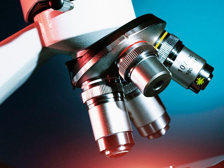 High white blood cell count: Causes, types, and more