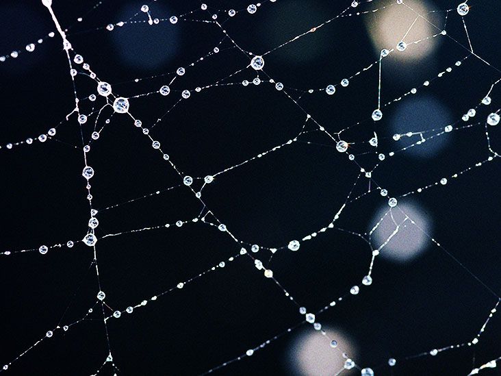 Macular degeneration and floaters: What to know