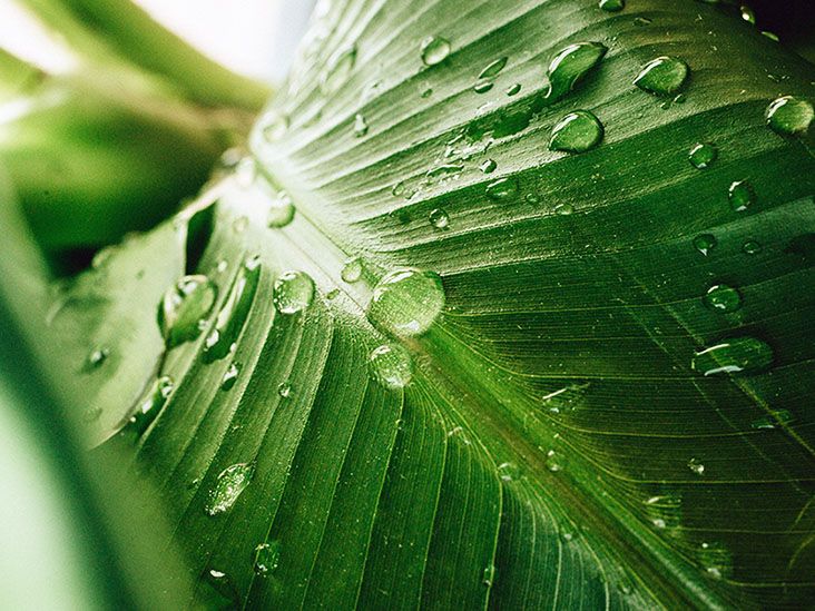 Humidity constipation: Why it may happen and more