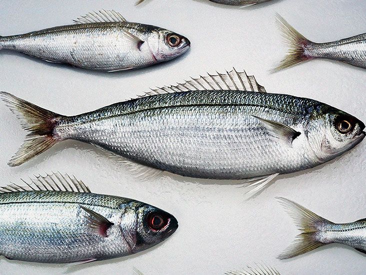 10 best foods for eye health and eyesight