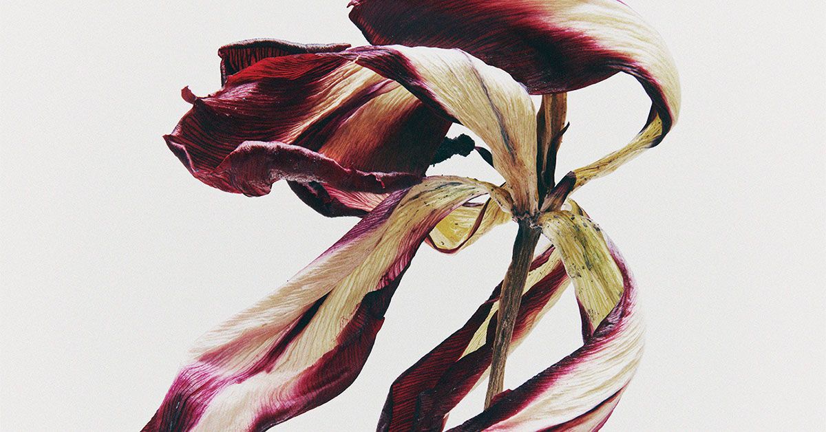 What to know about thanatophobia (fear of death)