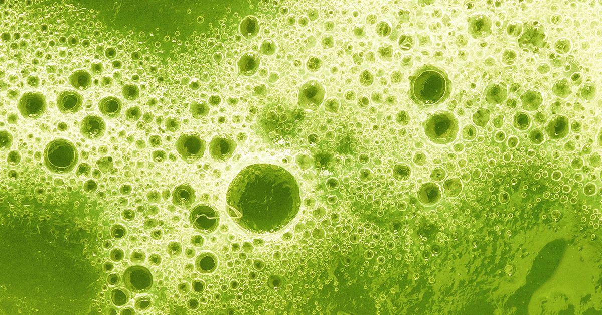 Foamy urine: Causes and treatment