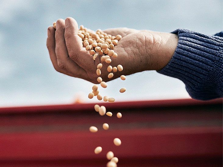 Soy: Types, benefits, and nutrition