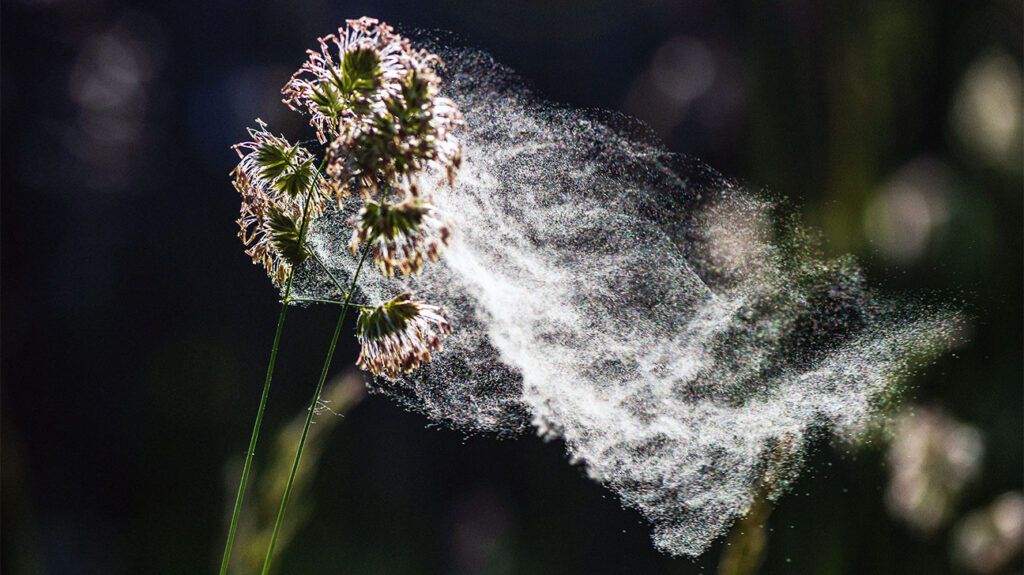 Signs Of Allergies In Adults Yes, Adults Can Develop Food Allergies.