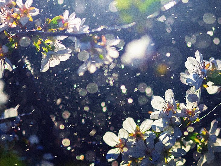 Allergies and losing your voice: Causes, treatment, and more