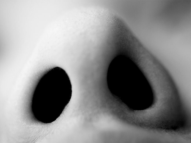 Deviated septum and headaches: Is there a connection?