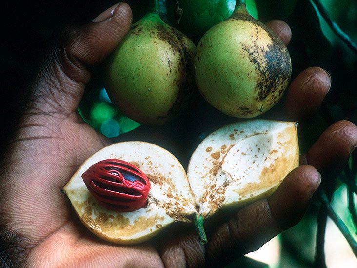 Nutmeg 'High': Is it possible?