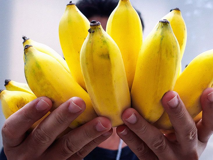 Treating Diarrhea How To Stop Diarrhea From Antibiotics: Treatment