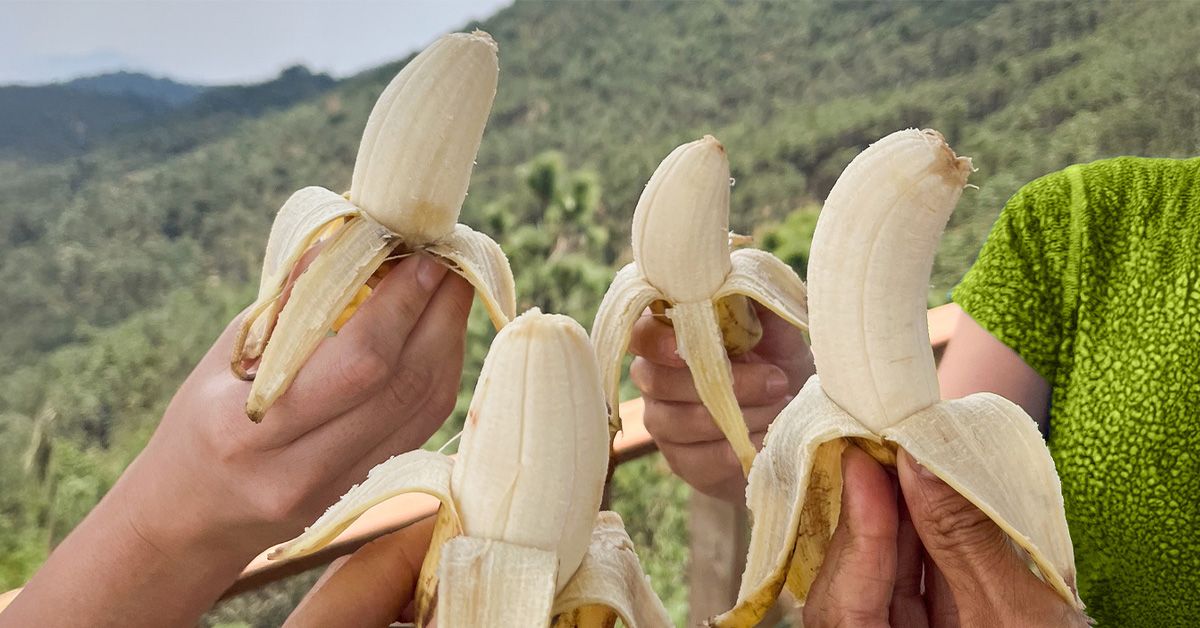 BRAT diet: Benefits, risks, and treating diarrhea