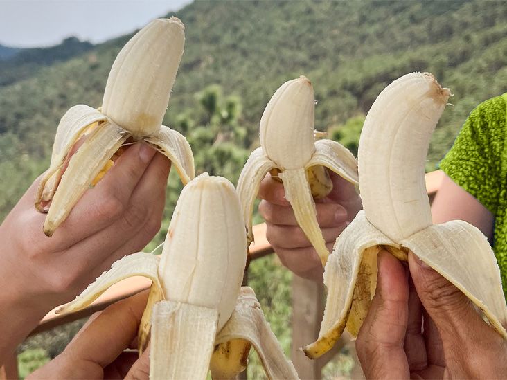 BRAT diet: Benefits, risks, and treating diarrhea