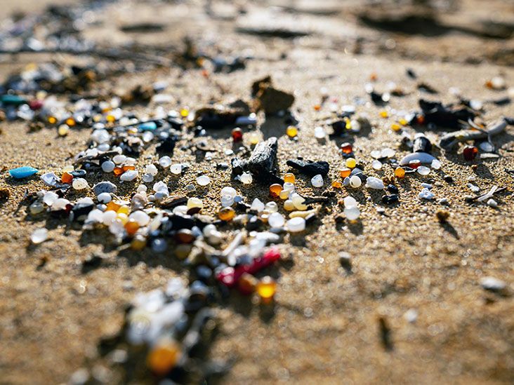 Microplastics found in the brain: Should we be concerned?