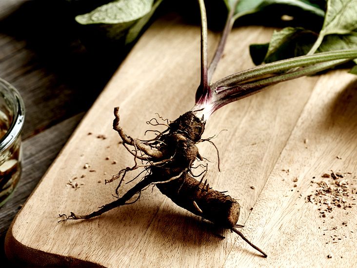 Burdock root: Benefits, side effects, and uses