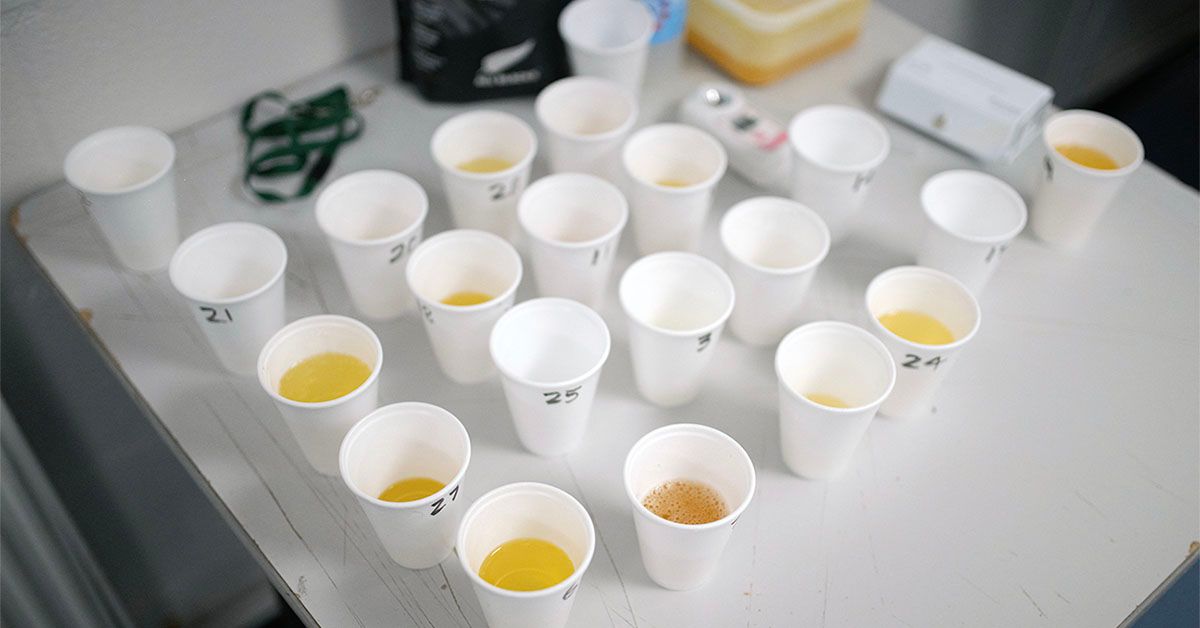 10-panel drug test: Which drugs, timeframes, and results