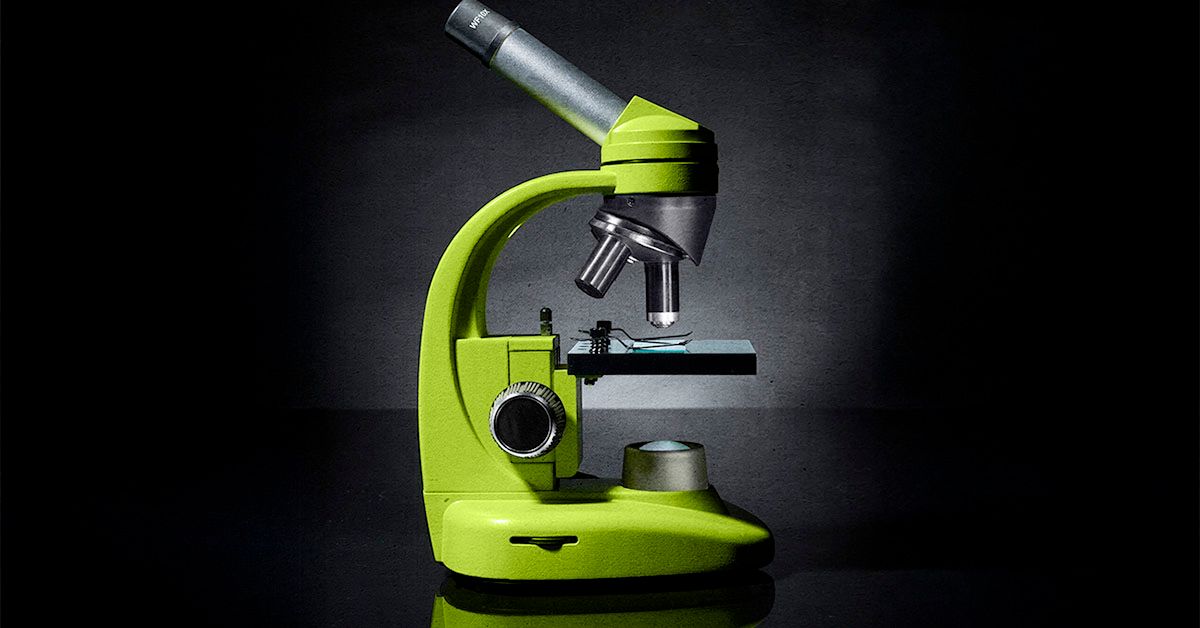 Cholesterol crystals urine: What they indicate and more