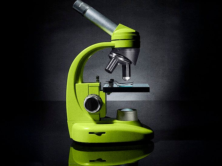 Cholesterol crystals urine: What they indicate and more