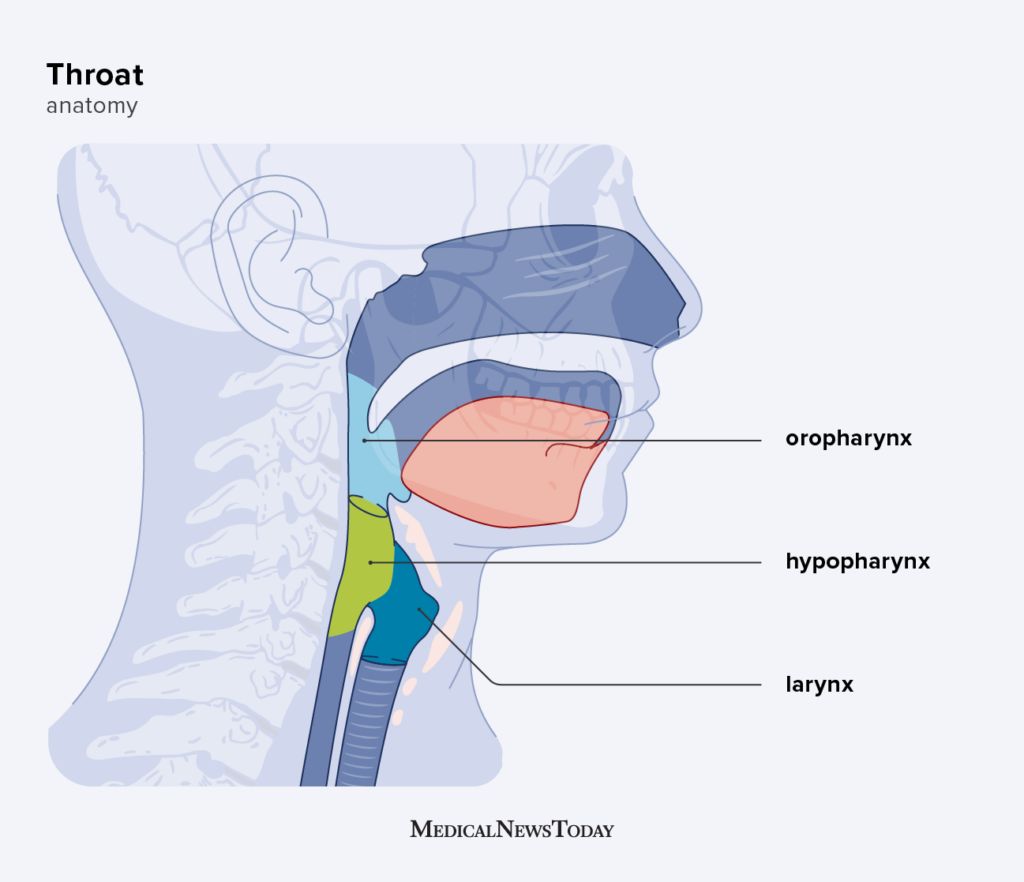Throat cancer: Symptoms, pictures, causes, and treatment