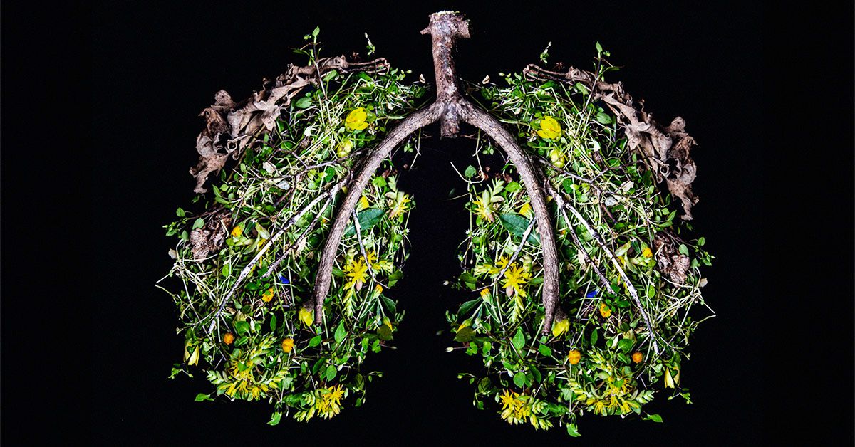 Lung disease: Types, symptoms, and complications