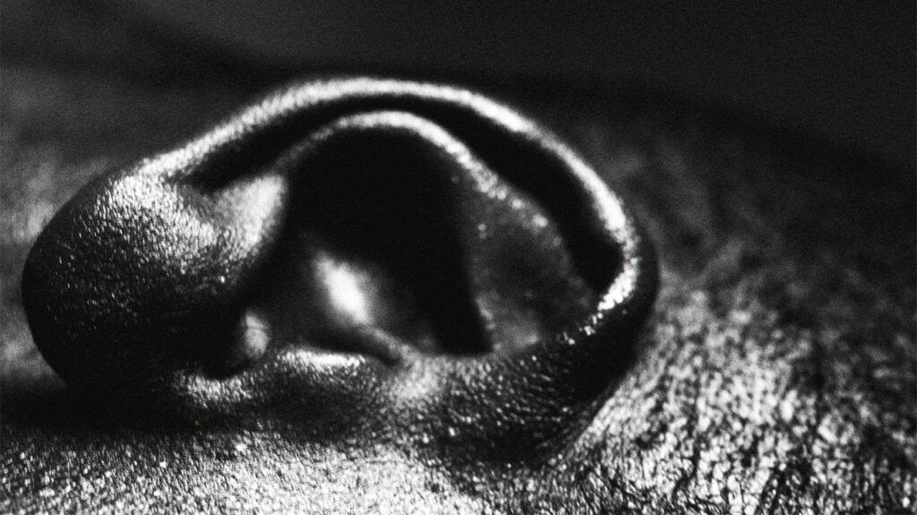 Clogged ears: Causes, home remedies, and safety