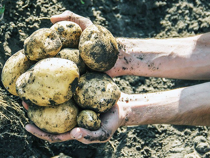 Diabetes and potatoes: Safety, risks, diet, and tips