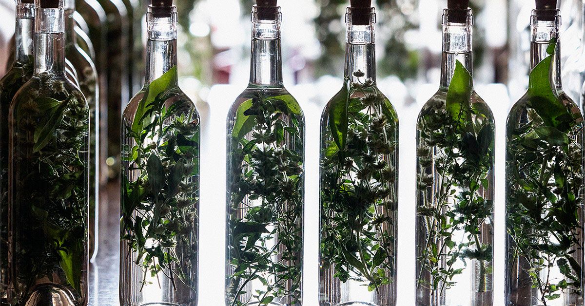 Herbal tinctures: 5 types and recipes