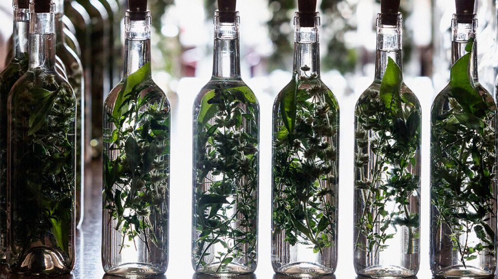 Herbal tinctures: 5 types and recipes