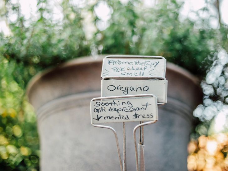 Oregano: Health benefits, uses, and side effects