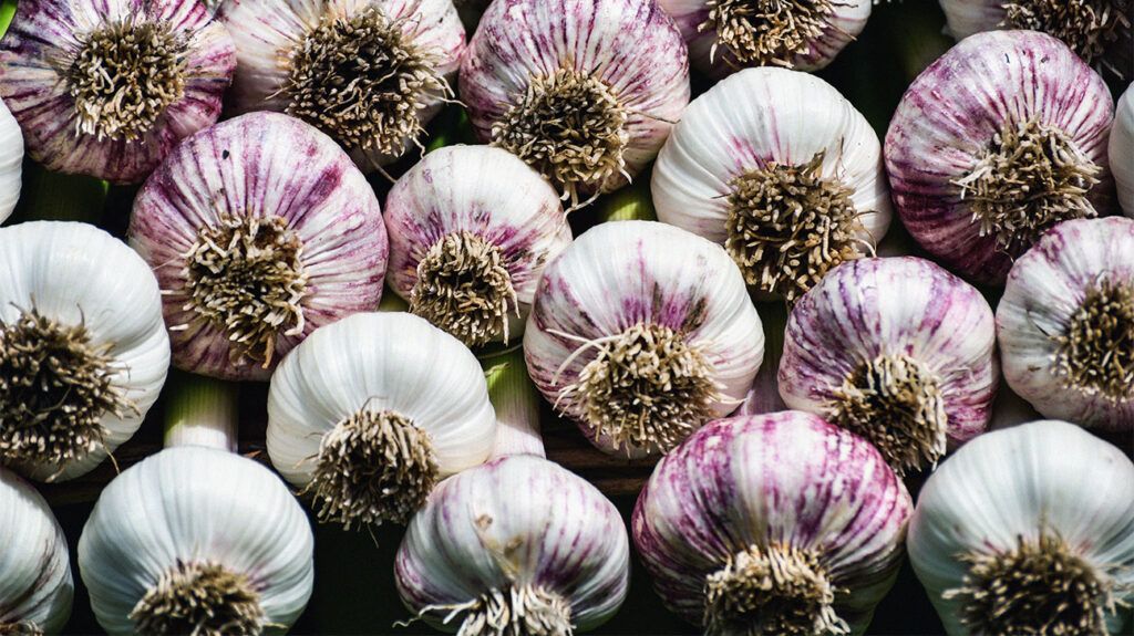 Home remedies for ringworm: 11 natural treatments