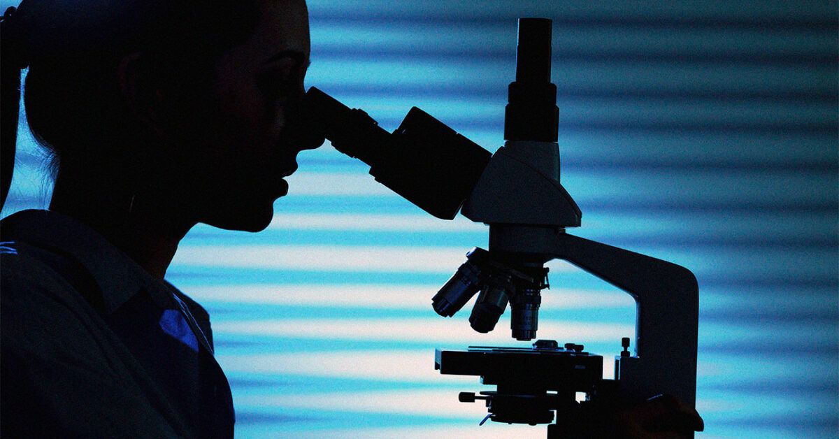 Lymphocytes: Levels, ranges, and functions
