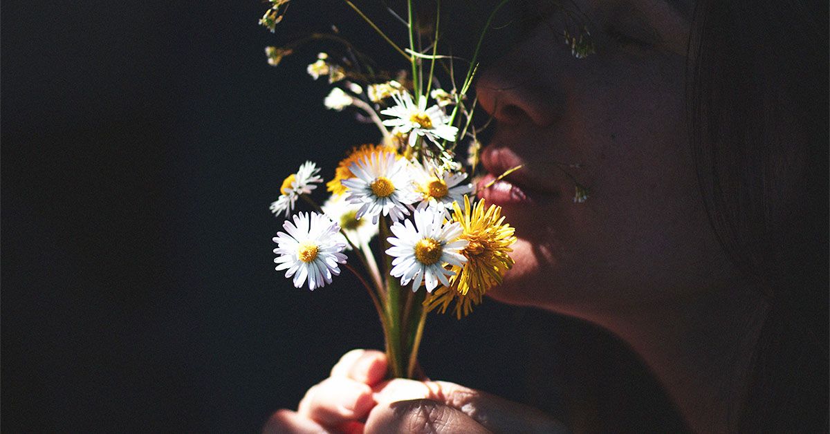 What are the 12 cranial nerves? Functions and diagram