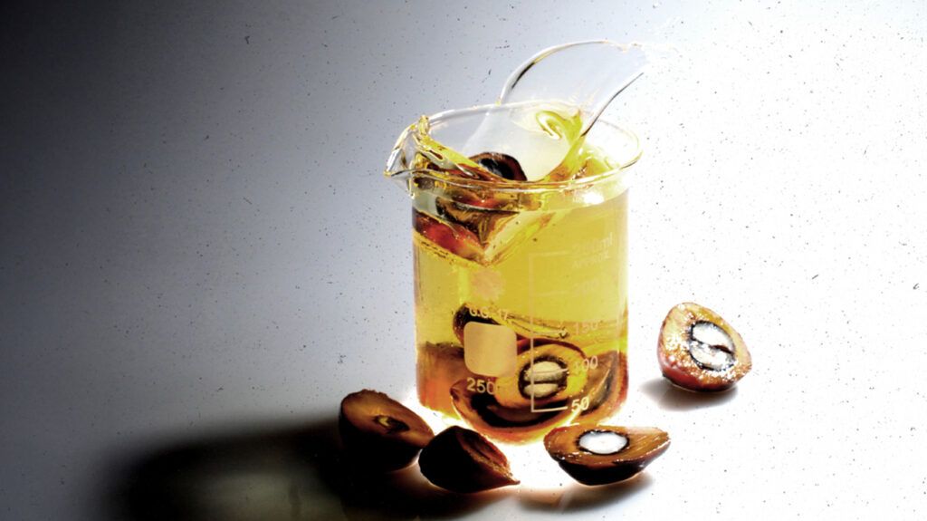 Palm oil: Is it unhealthy and does it provide health benefits?