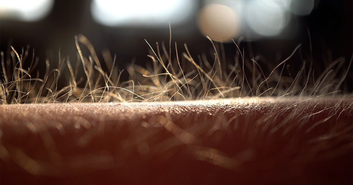 Chills: Causes, home remedies, treatment, and more