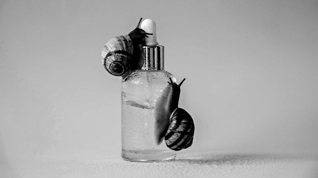 Snail mucin: Benefits and how to use it
