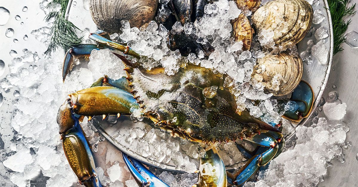 Donkey sex with girl everything about the time with her was