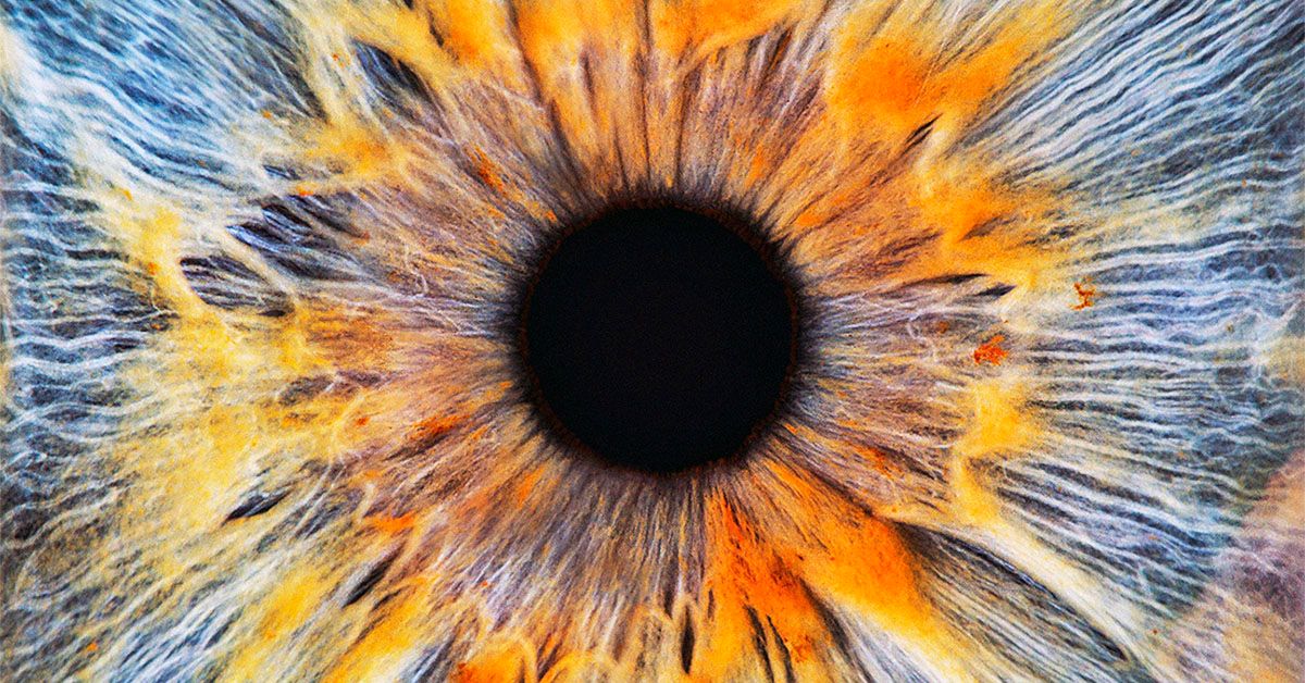 Paranoid Schizophrenia Eyes