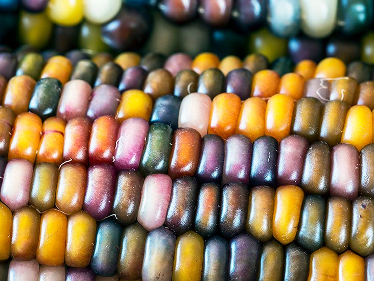 Corn and weight loss: Benefits and more