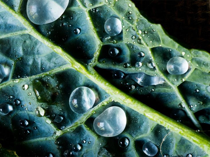 Silicon dioxide: Definition, safety, and effects