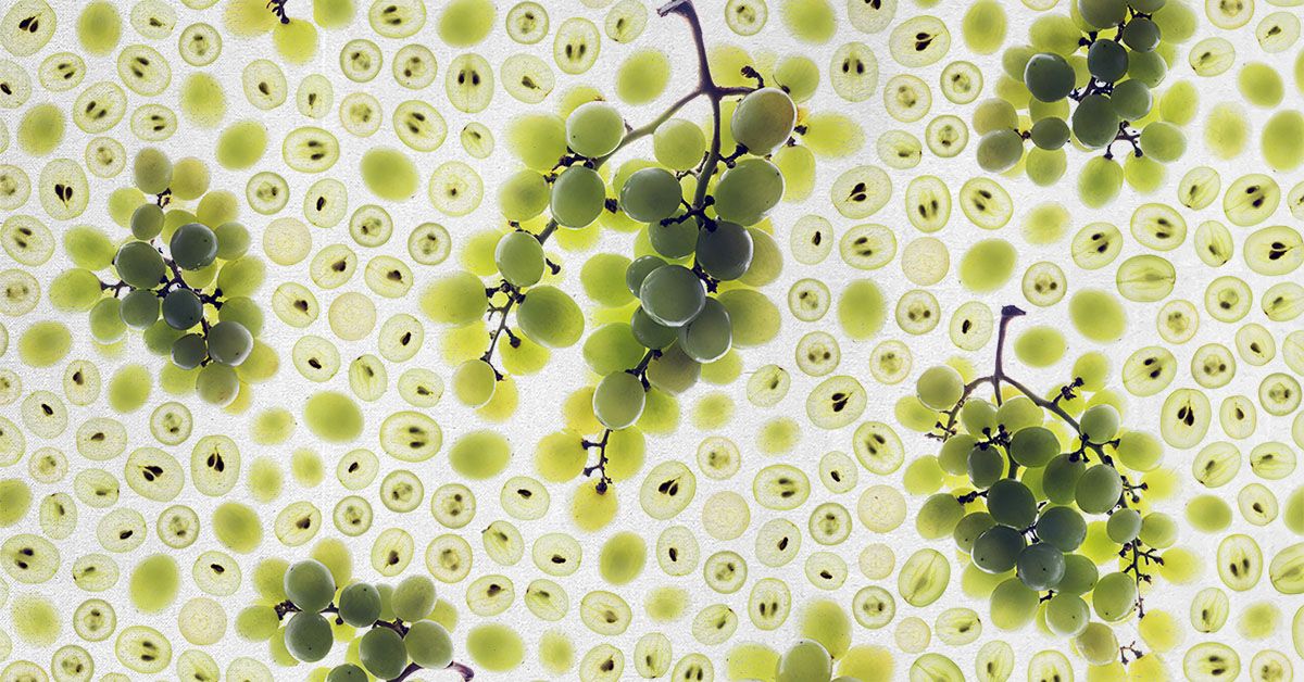 Grape seed extract: Benefits and side effects