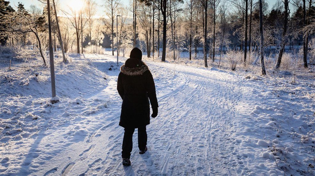 Snow mold allergy: Symptoms and treatments