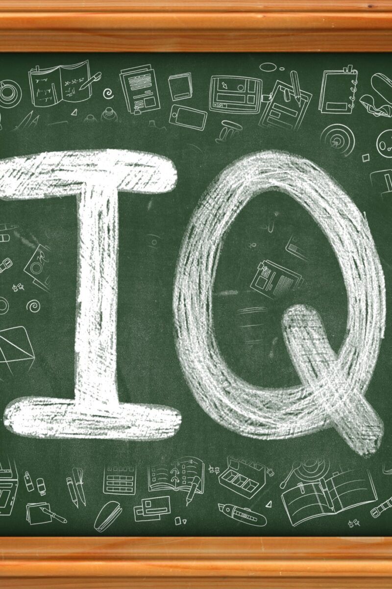 Study Shows Education Boosts IQ