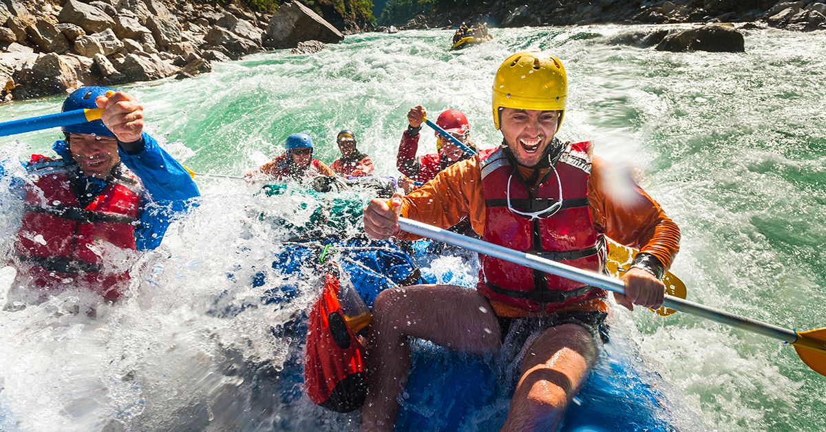 What Is Fight, Flight, or Freeze?