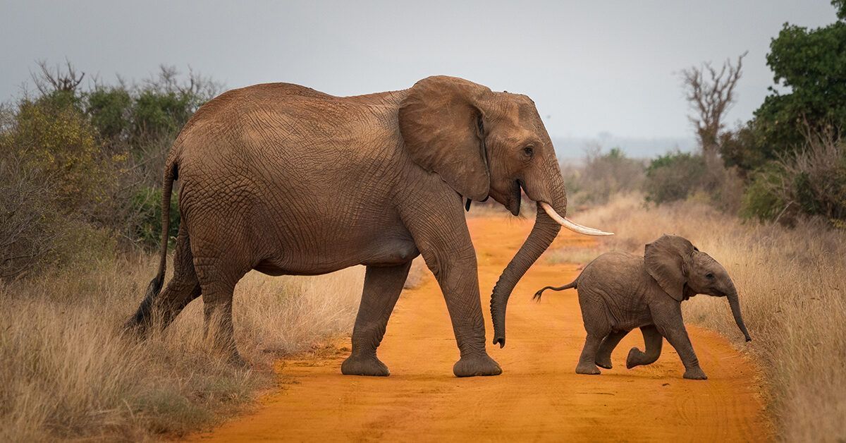 Fear-Based Parenting: Consequences and How to Avoid It