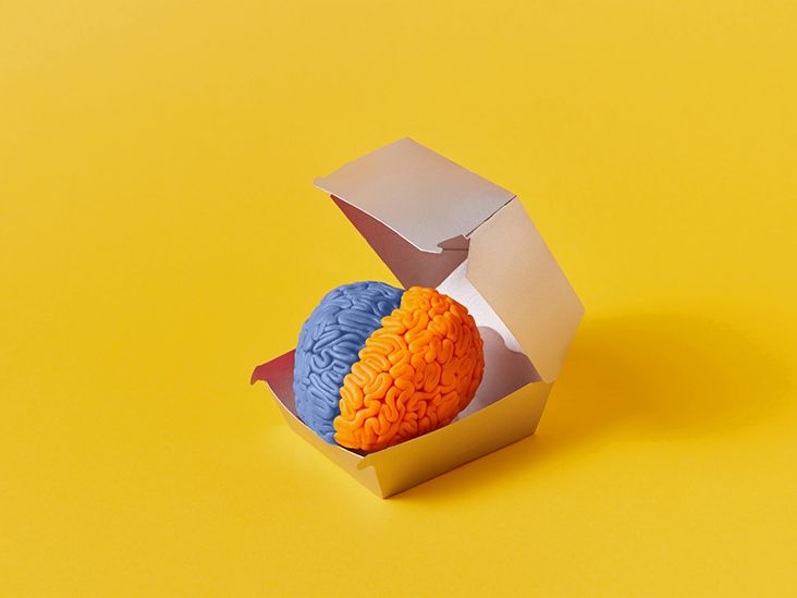 Am I a Left or Right Brain Thinker? Test I Psych Central