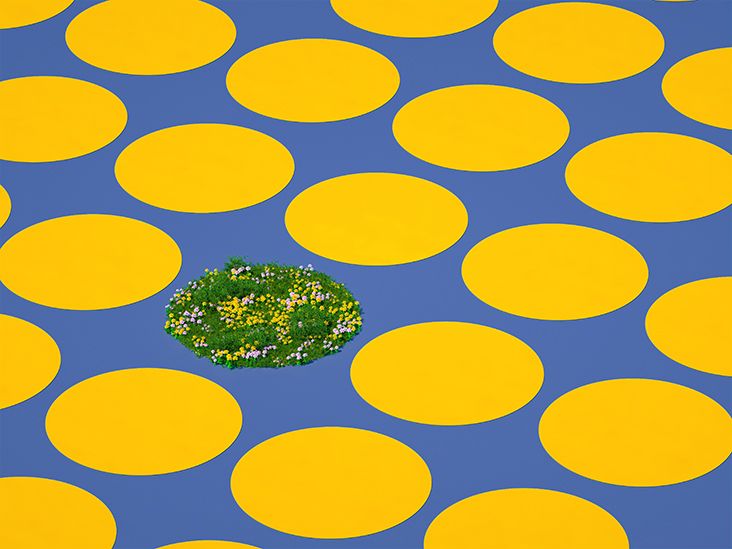 Yellow Circle