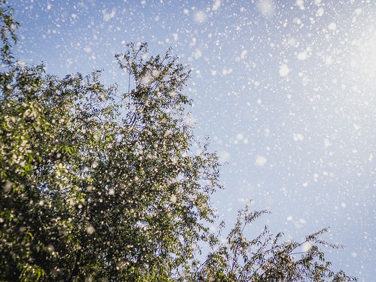 Visual Snow Anxiety: What It Is, Causes, and More I Psych Central