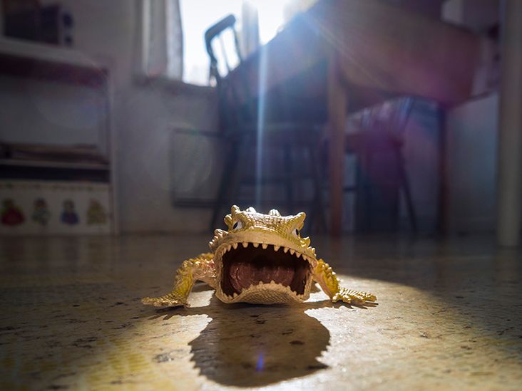 Teraphobia: How to Cope with the Fear of Monsters