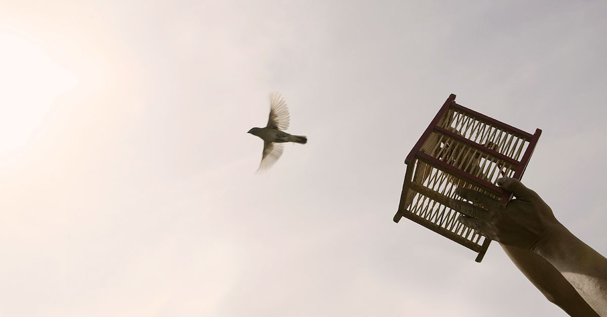 Should You Set Someone Free if You Love Them?